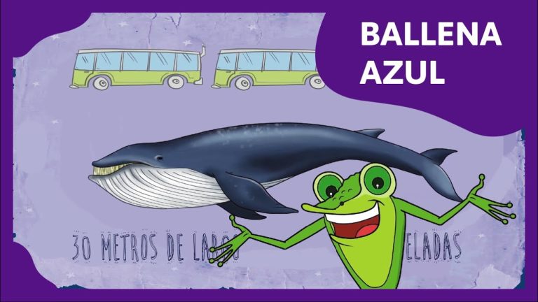 Descubre las Partes de una Ballena: Guía Divertida para Niños - Blog ...