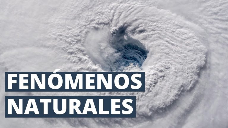 La Ciencia que Estudia los Fenómenos Naturales: Todo lo que Necesitas ...